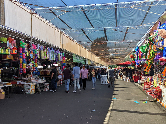 Covered walkways lead to unexpected treasures. This San Jose institution is where Silicon Valley goes analog for the weekend.