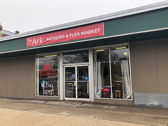 Corner location, traffic light convenience, and a sign that promises both antiques and treasures&mdash;The Ark delivers salvation for the decoration-deprived.