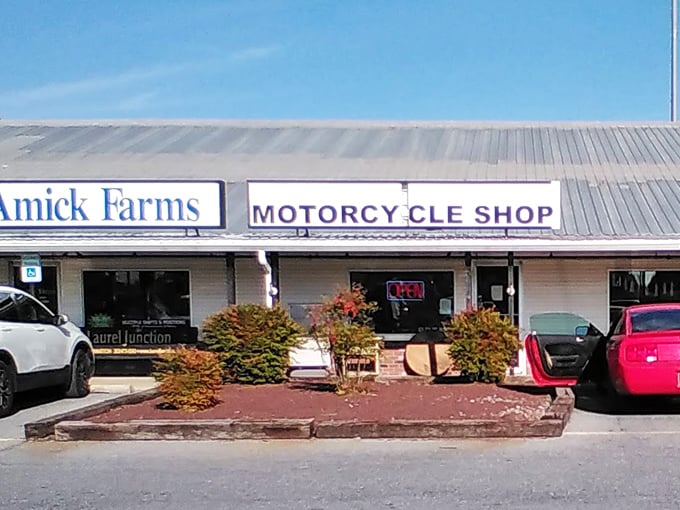 Where motorcycles meet hydroponics – a retail version of "six degrees of separation" that somehow makes perfect sense.
