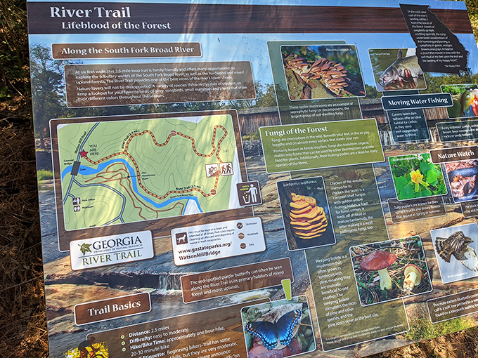Nature's menu board, displaying all the day's specials. This trail map reveals the park's hidden treasures, from fungi to fishing spots.