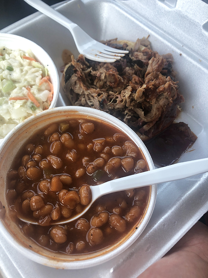 The perfect barbecue equation: tender pulled pork + creamy coleslaw + beans that have absorbed all life's wisdom = pure happiness.