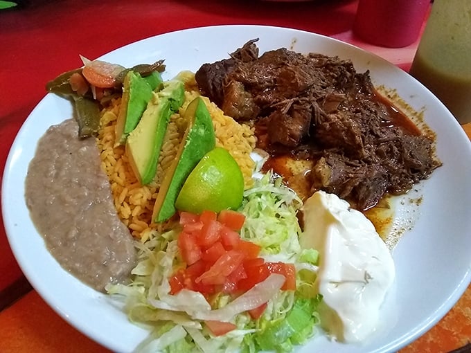 This barbacoa platter isn't just dinner; it's a color wheel of Mexican cuisine where every component deserves its own standing ovation.