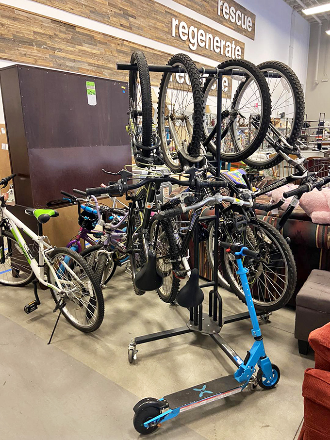 From kids' first bikes to weekend trail warriors, the bicycle section offers wheels for every adventure without the new-gear sticker shock.
