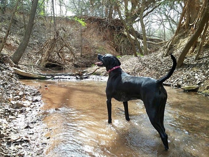 The park's modern visitor center blends seamlessly into the landscape, like a mid-century modern dream that decided to put down roots in canyon country.