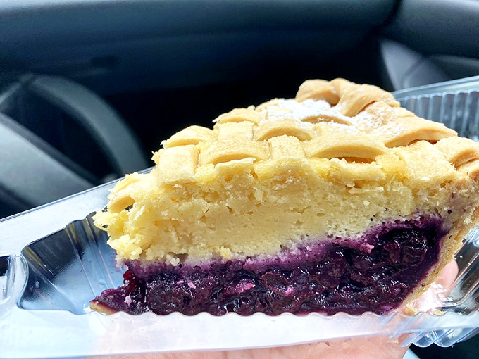 Beneath that golden lattice lies a purple treasure trove of blueberries. Summer captured in a pie pan and served in a plastic container.