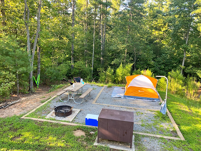 Camping here isn't roughing it; it's upgrading your bedroom to include the finest ceiling of stars money can't buy.
