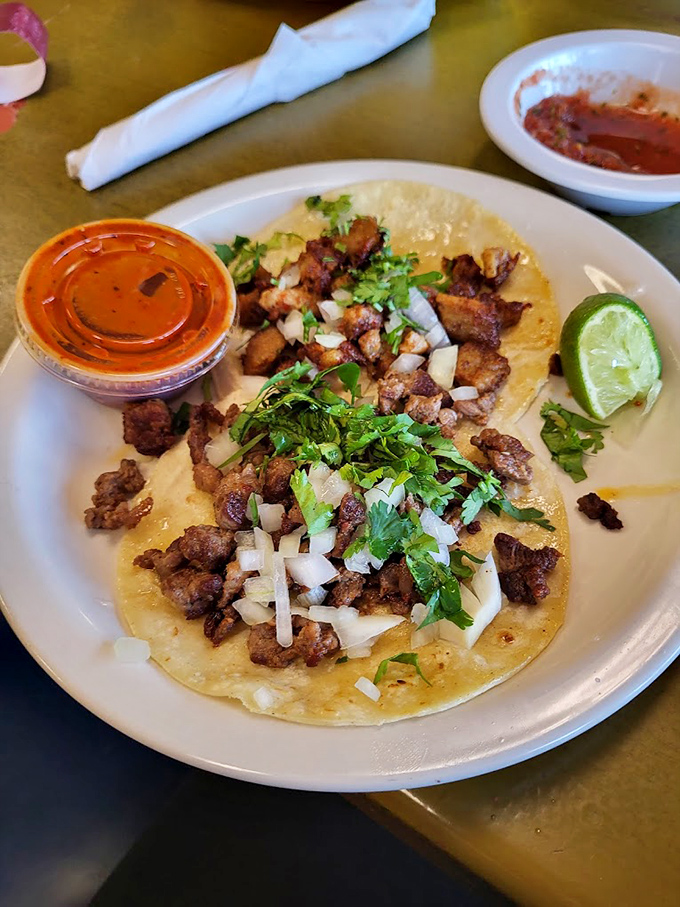 Street tacos done right—simple corn tortillas cradling perfectly seasoned meat, topped with fresh cilantro and a squeeze of lime that brightens everything.