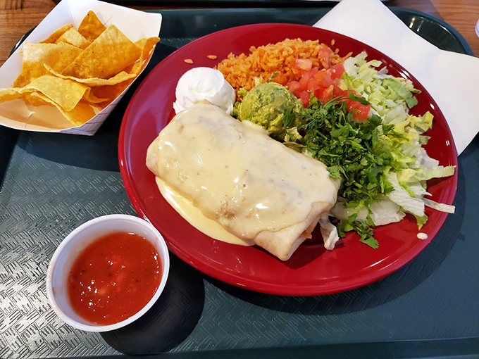 The chimichanga arrives like royalty on its red throne, surrounded by its court of rice, guacamole, and fresh vegetables. A meal fit for hungry monarchs.