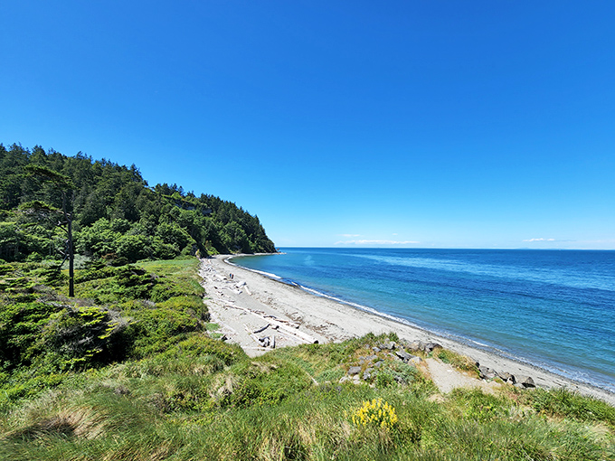 The Hastings Building commands its corner like a Victorian gentleman who dressed up for a party that's been going on for 130 years. 