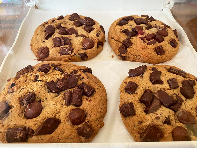 Chocolate chunk cookies that look like they escaped from a dessert fantasy. Those massive chocolate chunks aren't being subtle about their intentions.