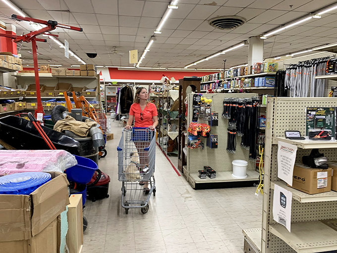 The universal flea market experience: navigating treasures with a shopping cart while mentally rearranging your home to fit "just one more find."