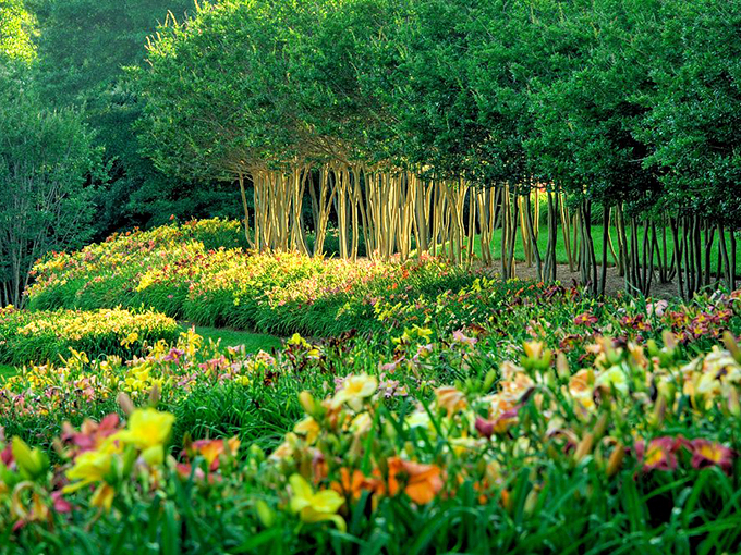 Nature's color palette gone wild! These meticulously arranged plantings create living artwork that would make even the most dedicated gardener swoon.