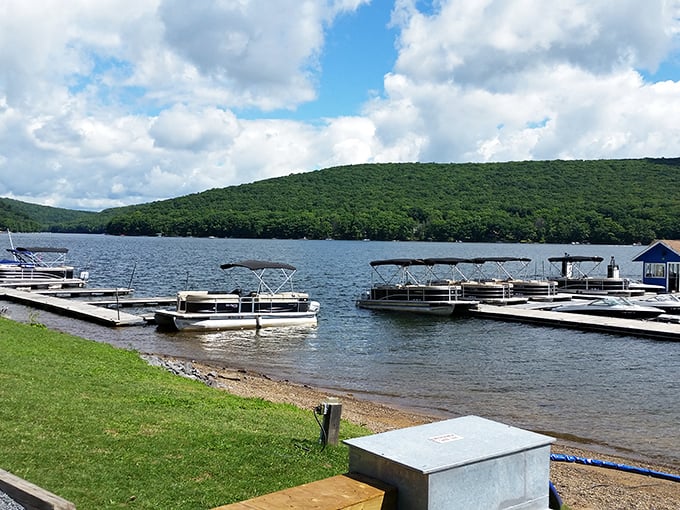 Deep Creek Lake sparkles like nature's playground, where pontoon boats wait patiently for your summer adventures.