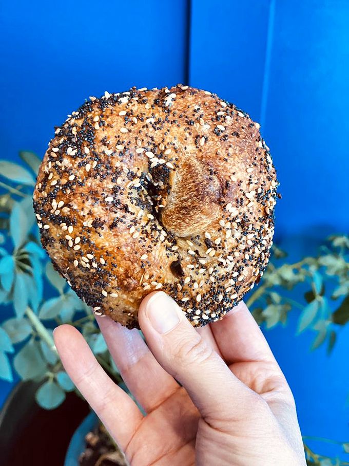 The everything bagel&mdash;where sesame, poppy, and garlic commit to a lifelong relationship with perfectly baked dough. No seed left behind.