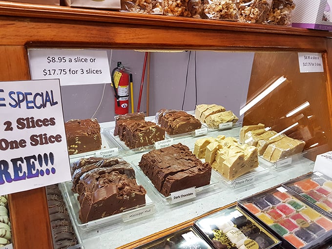 Fudge slabs that could double as pillows in a sugar-lover's dream. Each variety promises the kind of comfort only perfectly executed sweetness can deliver.