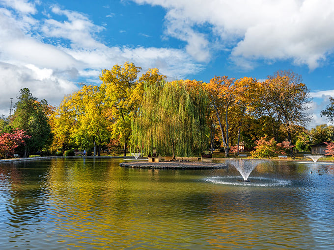 Gypsy Hill Park's autumn display puts on a color show that makes even seasoned leaf-peepers weak in the knees. Mother Nature showing off? You bet.