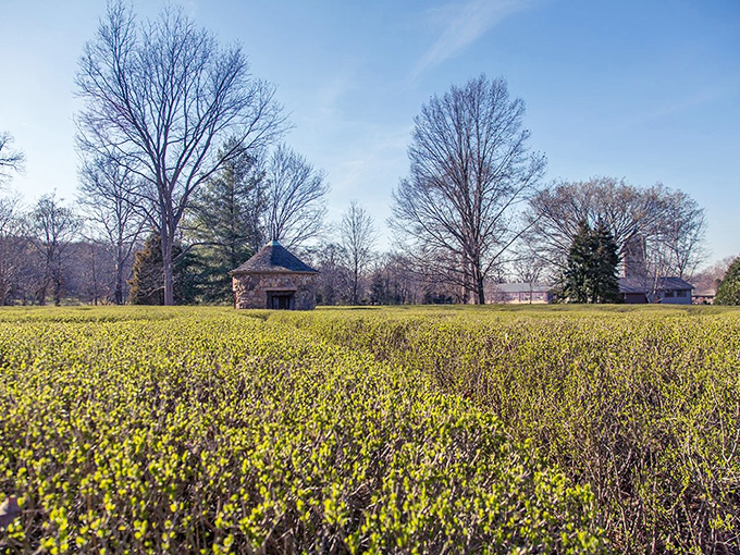 The Harmonist Labyrinth isn't where you'll lose your way, but rather find it. Unlike my sense of direction in shopping malls, this maze intentionally leads somewhere meaningful.