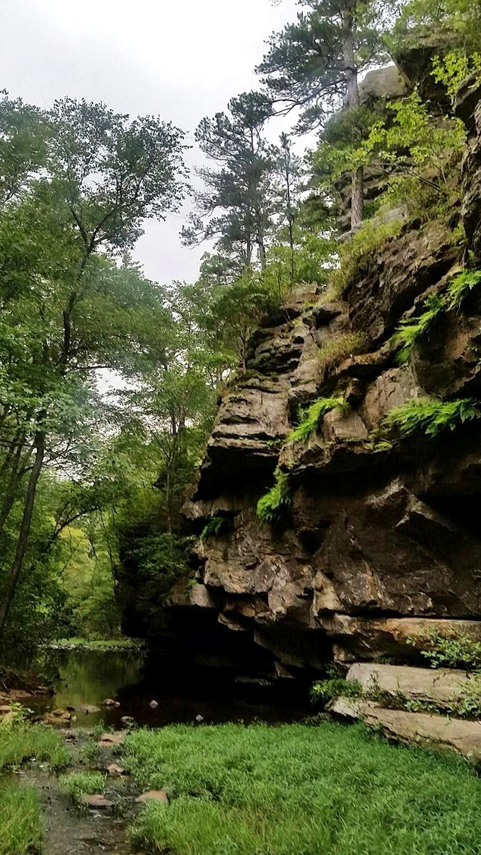 Nature carved these sandstone wonders at Hawn State Park. Just minutes from town, you'll find landscapes that look like they belong in a National Geographic feature.