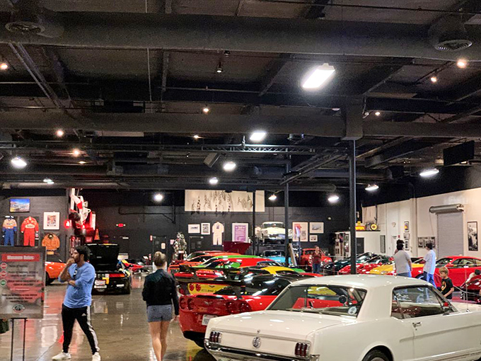 Where car enthusiasts experience what I imagine heaven looks like &ndash; except you can't touch anything here either.