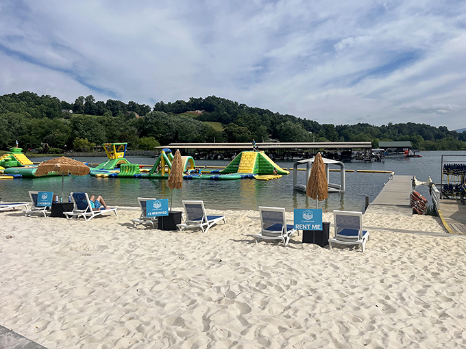 The perfect vantage point for parents: close enough to supervise, far enough to pretend you don't hear "Watch this!" for the fifteenth time.