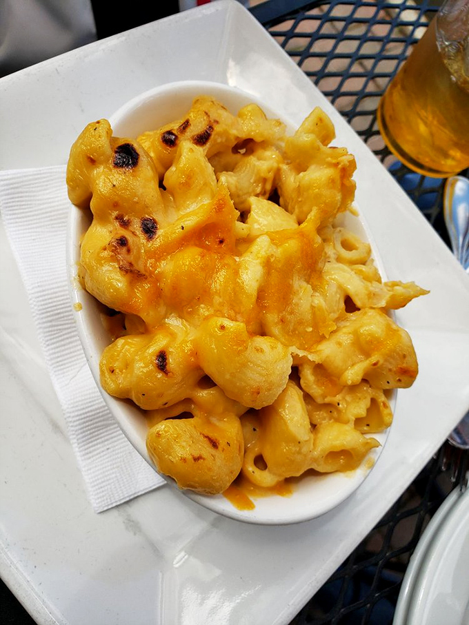 Mac and cheese that achieves that golden ideal: creamy, cheesy, with those irresistible crispy edges. Comfort food that hugs your soul.