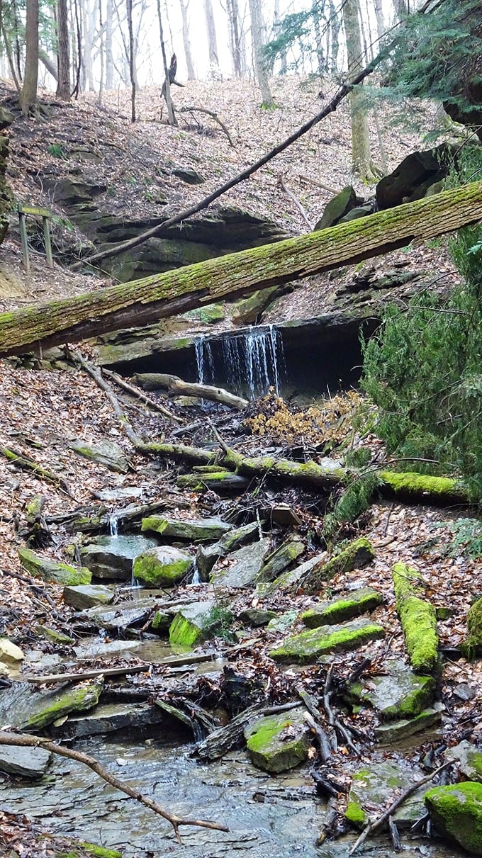 Nature's own spa treatment. This miniature waterfall has been sculpting these moss-covered rocks since before Indiana was even a twinkle in a mapmaker's eye.