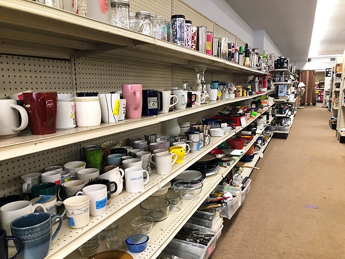 Mug shots! A lineup of ceramic suspects, each guilty of holding someone's morning coffee through decades of news cycles and kitchen table gossip.