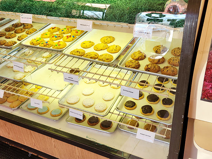 Cookie trays lined with precision that would make a drill sergeant proud. Each one patiently waiting its turn to destroy your diet plans.