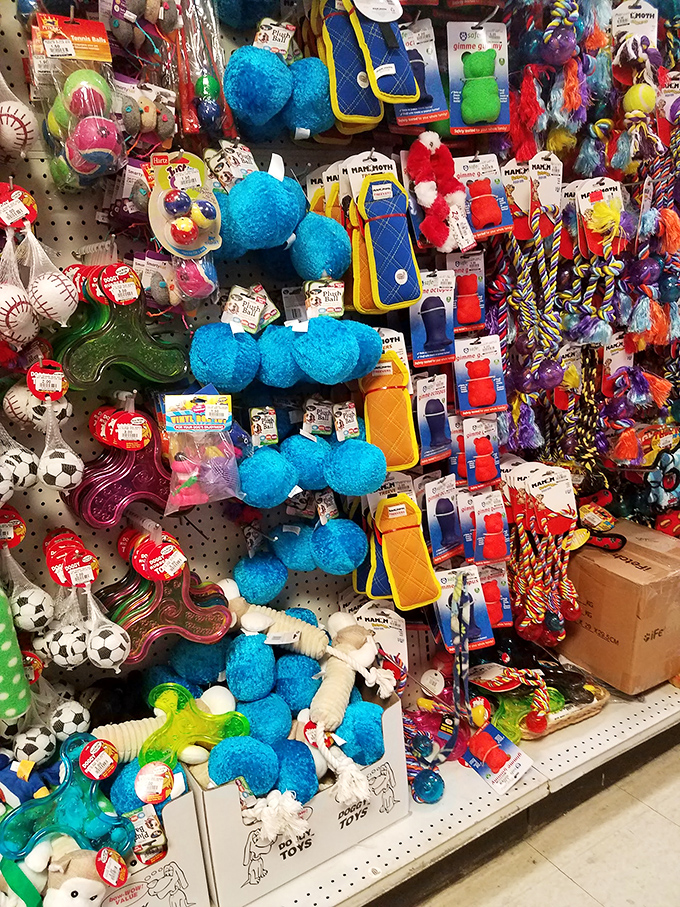 The pet toy section, where your dog can get more Christmas presents than your relatives without causing a family feud.
