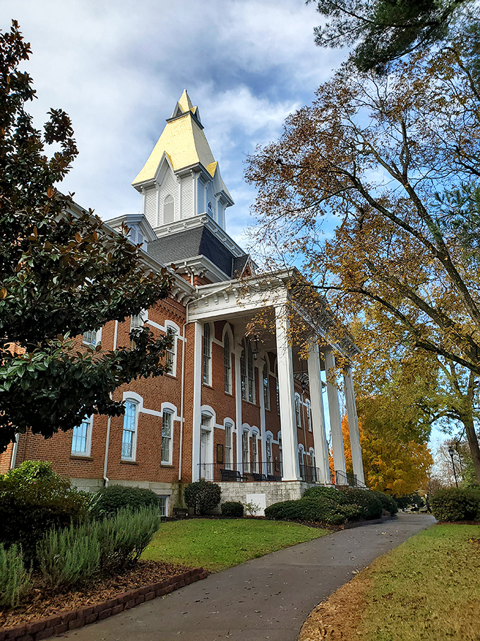 Price Memorial Hall's gold-leafed steeple catches sunlight like a beacon, reminding visitors of the precious metal that first put Dahlonega on the map.