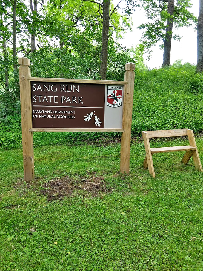 The sign says "state park," but what it really means is "paradise found." That simple wooden bench? Nature's invitation to slow down and stay awhile.