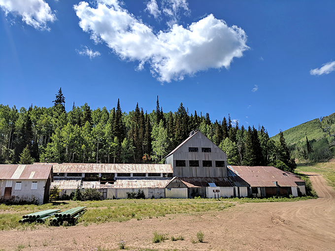 From this vantage point, Park City's summer landscape unfolds like a topographical dream. Even the chairlift seems to be enjoying the view.