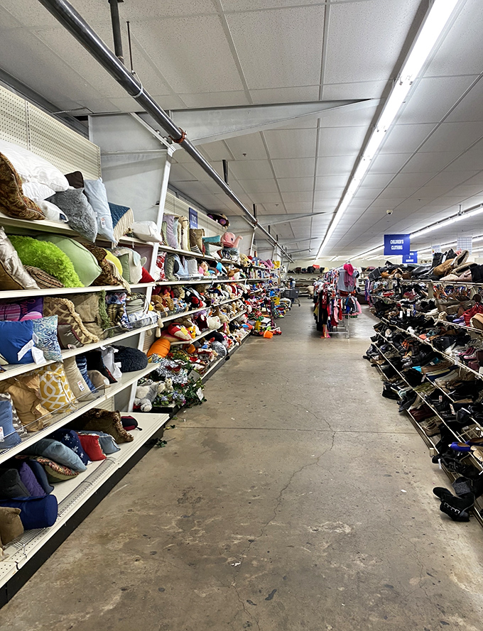 A wonderland of plush friends and childhood nostalgia. Those pink bikes are just waiting for training wheels and neighborhood adventures.