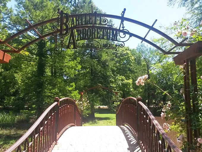 Not all entrances are created equal. This arched gateway promises magic beyond its iron curves.