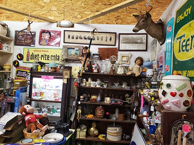 Where vintage advertising meets taxidermy in perfect chaotic harmony. That deer head has seen things you wouldn't believe since the Nixon administration.