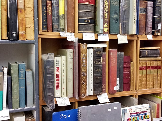 These vintage hardcovers and first editions aren't just books&mdash;they're time machines disguised as leather-bound rectangles. Each spine tells two stories.