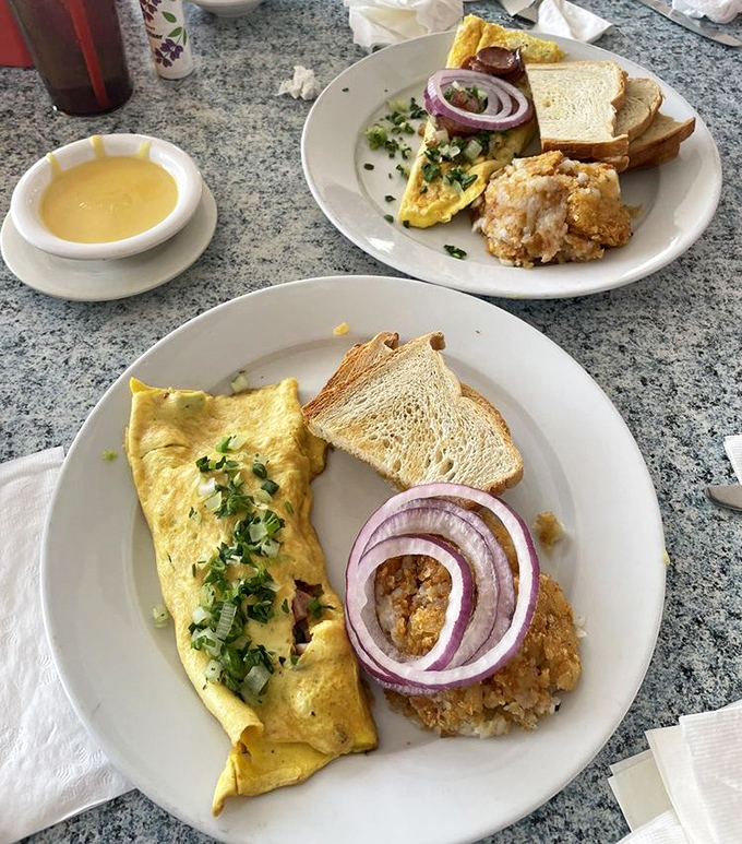 Two plates, two omelets, one mission: breakfast perfection. The hash browns on the side aren't playing supporting roles—they're co-stars.