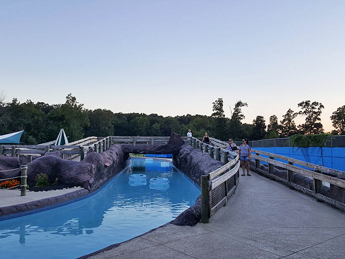 This bridge isn't just functional&mdash;it's the perfect vantage point for parents practicing their "I see what you're doing over there" surveillance techniques.