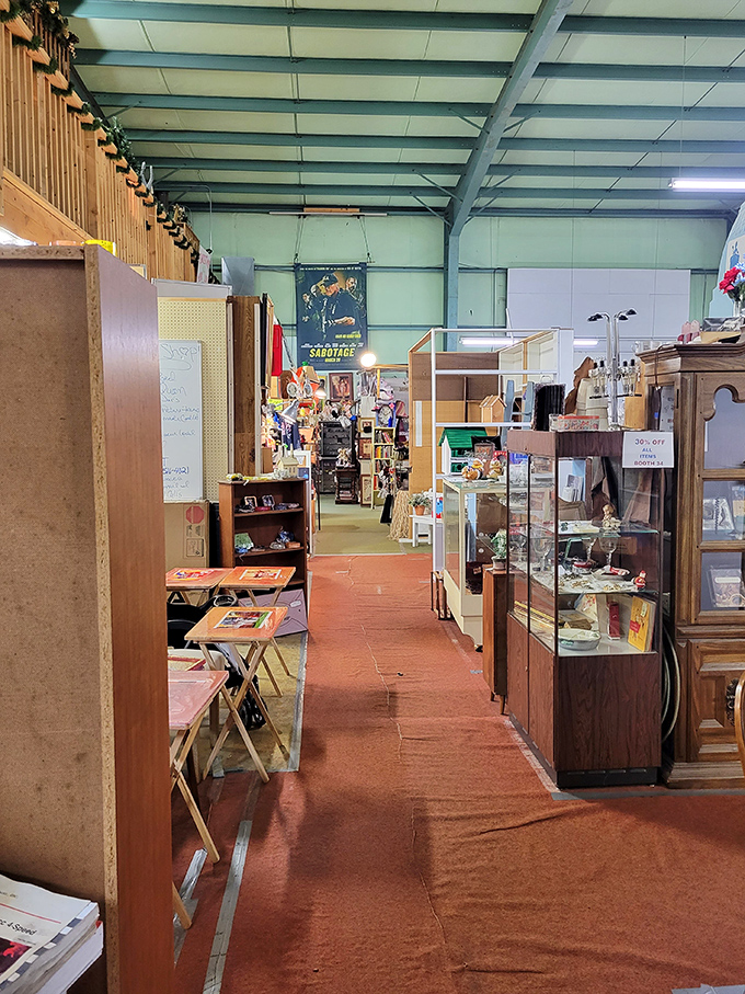 Every shelf tells a story here, from vintage glassware to collectible figurines. It's like someone organized your memories by color and category.