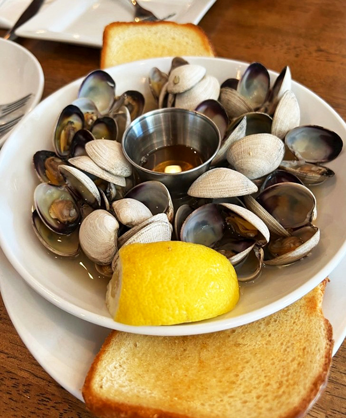 Ocean gems in their native habitat. These steamed clams with butter and lemon make you feel like you've just caught them yourself.