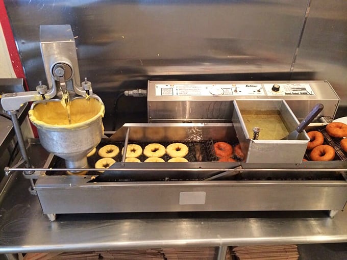 The mechanical heartbeat of donut happiness. Like watching Willy Wonka's factory, but with fewer Oompa Loompas and more fried dough.