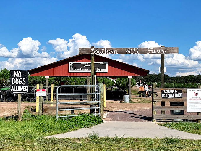 The red barn entrance stands sentinel, promising agricultural adventures beyond the "No Dogs Allowed" sign&mdash;sorry, Rover.
