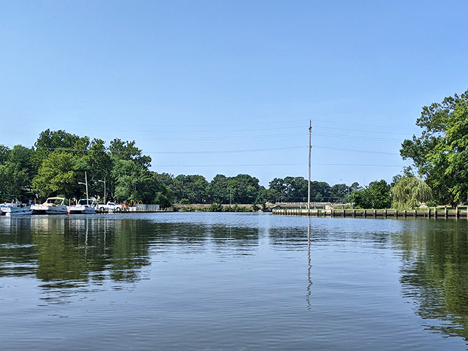 The Indian River reflects blue skies and tall trees, a serene waterway that's been Millsboro's lifeblood since before the town had a name.