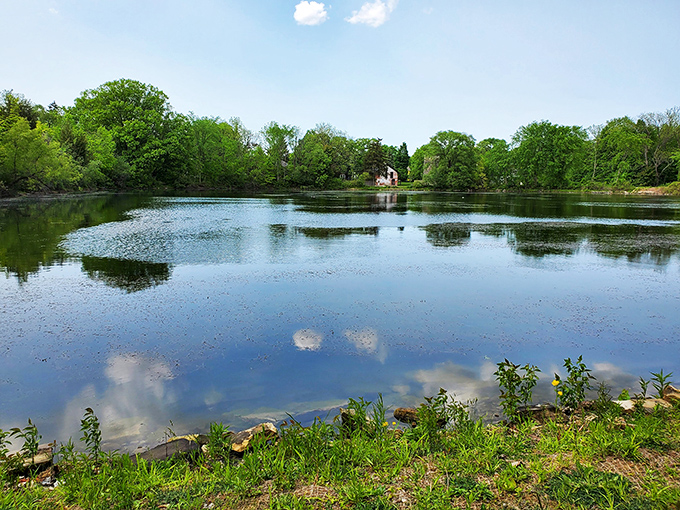 Reflections dance across the serene waters of this hidden gem. Nature provides the perfect counterpoint to the intellectual energy that pulses through the rest of town.