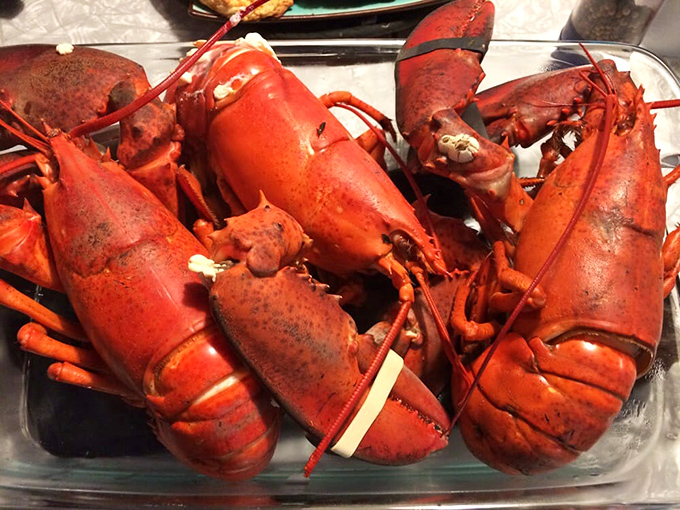 These lobsters look like they're plotting an escape. Thankfully, their only destination is a pot of boiling water and your dinner plate.