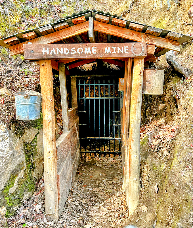 The Handsome Mine entrance proves even gold miners had a sense of humor. Mother Nature's vault door, now a fascinating peek into Jacksonville's glittering past.