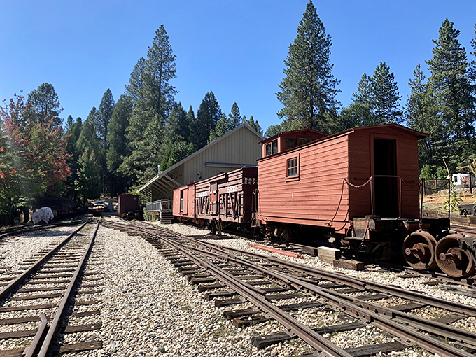 Railroad history stands preserved on these tracks, where vintage cars remind us of an era when "streaming" meant something in a creek.
