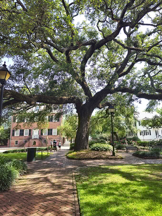Savannah's squares aren't just pretty faces; they're outdoor living rooms where centuries-old oaks serve as natural air conditioning.