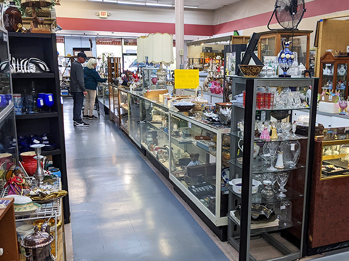 The glass display cases are like aquariums for collectibles, where rare specimens of crystal and silver swim in pools of fluorescent light.