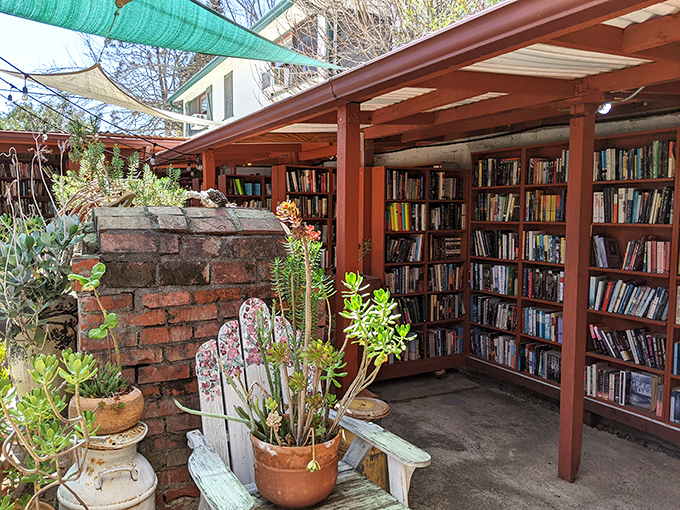 A gardener's corner nestled among bookshelves, where terracotta pots and climbing plants create a peaceful reading retreat away from digital chaos.